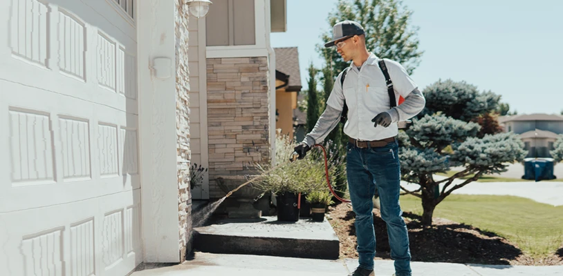 Pest Control in Kentucky | KY Exterminators | Kentucky Pest Control